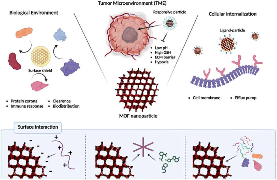 Surface functionalization of metal–organic framework nanoparticle for overcoming biological ...