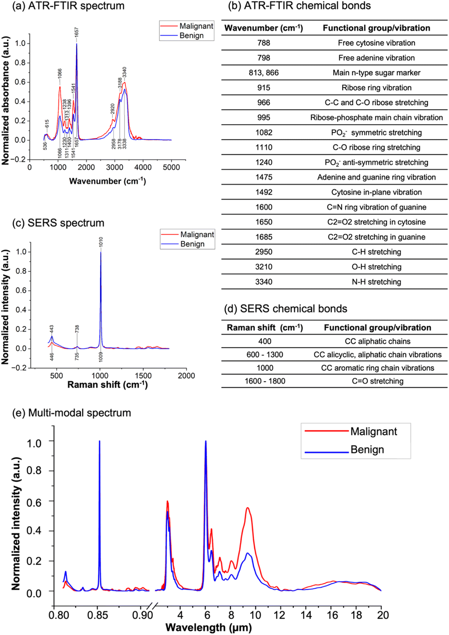 Complete characterization of RNA biomarker fingerprints using a multi ...