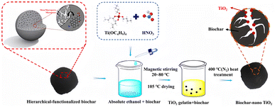 Recent progress in TiO 2 –biochar-based photocatalysts for water ...