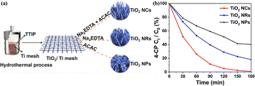 Recent progress in TiO 2 –biochar-based photocatalysts for water ...
