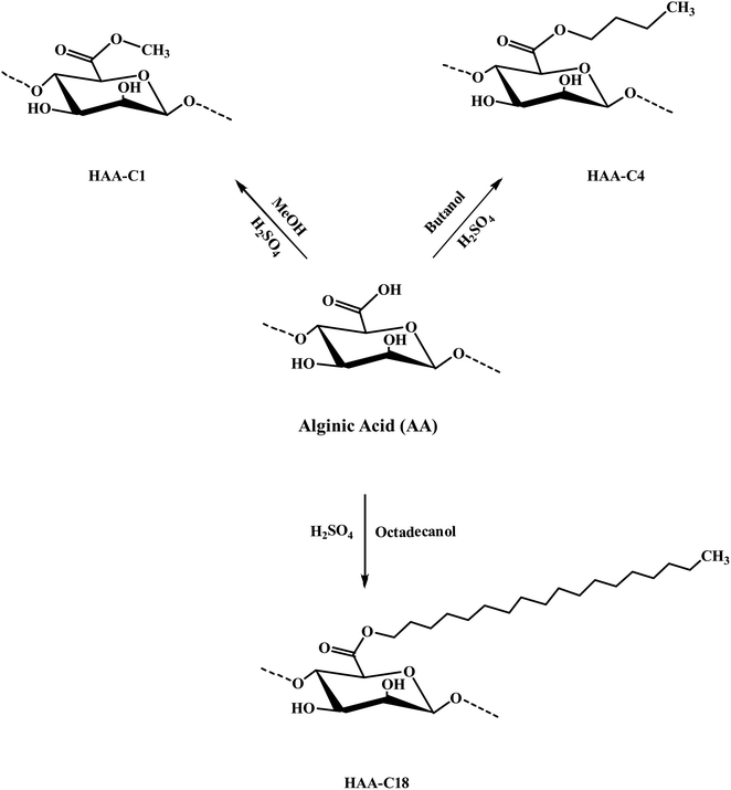 New sorbent-based hydrophobic alginic acid derivatives for fat removal ...