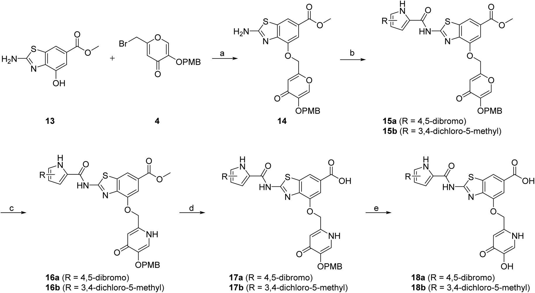 Benzothiazole DNA gyrase inhibitors and their conjugates with ...