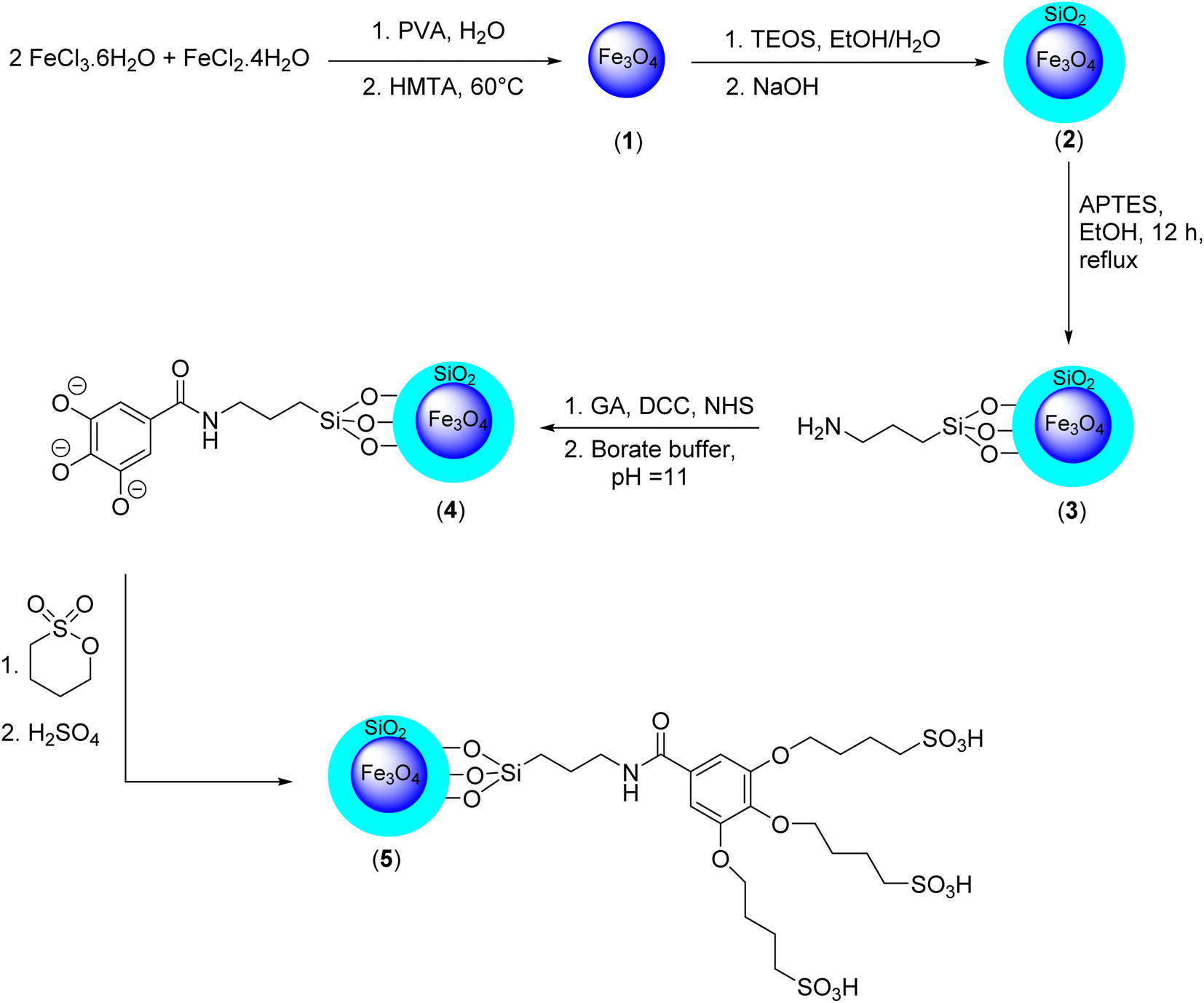 Fe 3 O 4 @SiO 2 core/shell functionalized by gallic acid: a novel, robust, and water-compatible ...