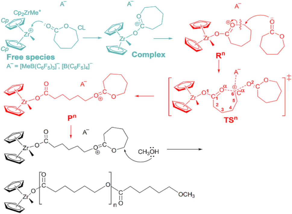Mechanism of cationic ring-opening polymerisation of ε-caprolactone ...
