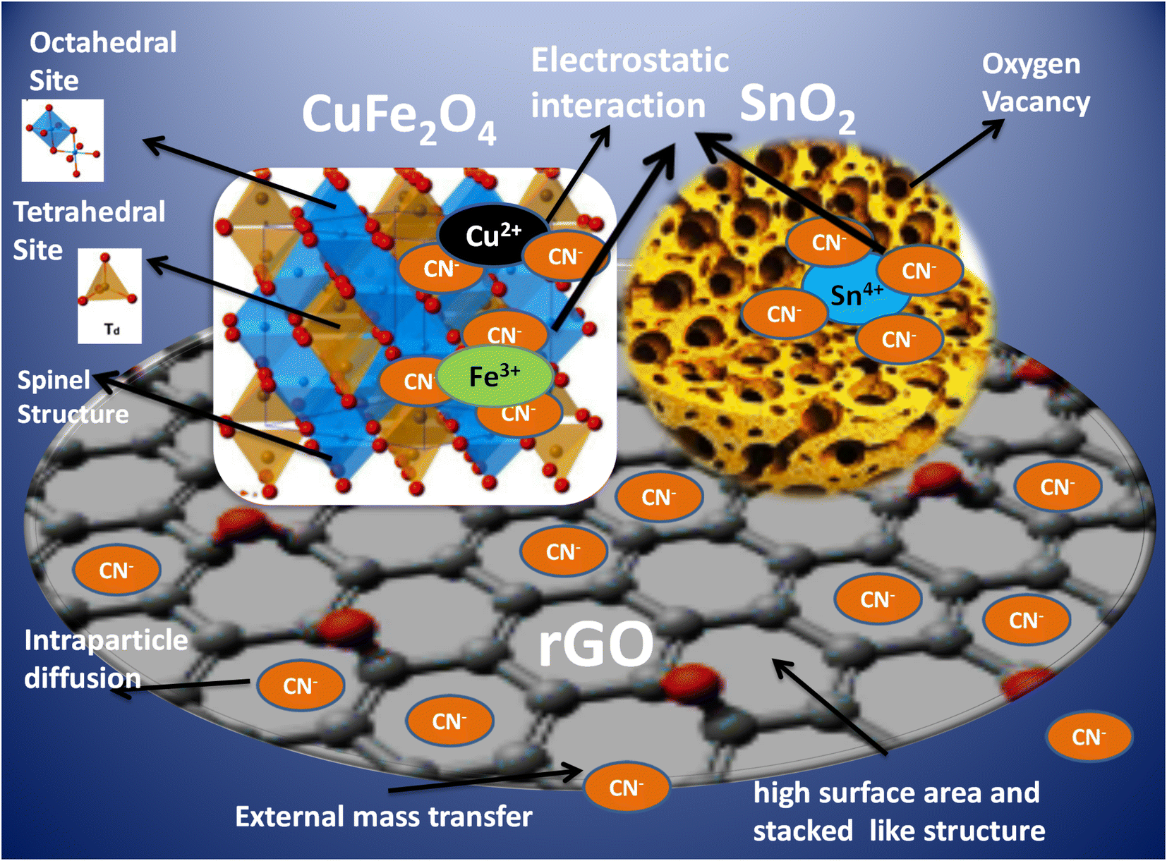 Construction of a novel ternary synergistic CuFe 2 O 4 –SnO 2 -rGO heterojunction for efficient ...