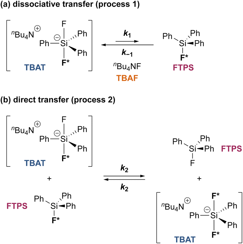 Speciation and kinetics of fluoride transfer from tetra- n ...