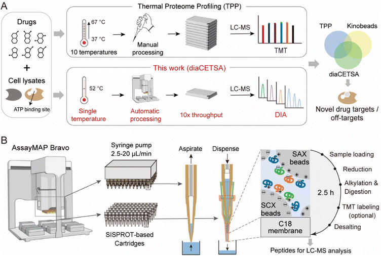High-throughput drug target discovery using a fully automated ...