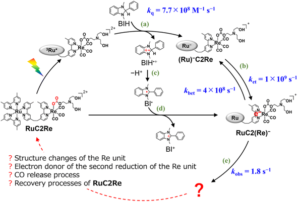 Overall reaction mechanism of photocatalytic CO 2 reduction on a Re( i ...