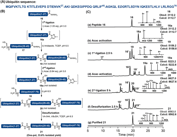 Azole reagents enabled ligation of peptide acyl pyrazoles for chemical ...