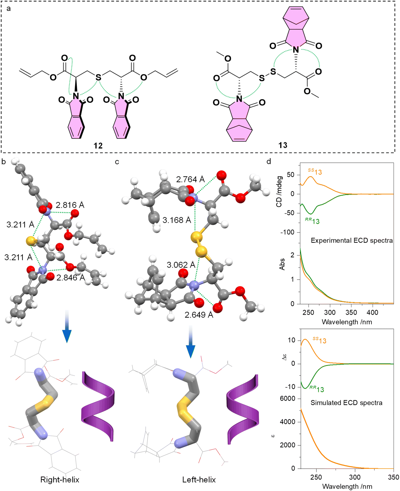 Pnictogen bonding in imide derivatives for chiral folding and self ...