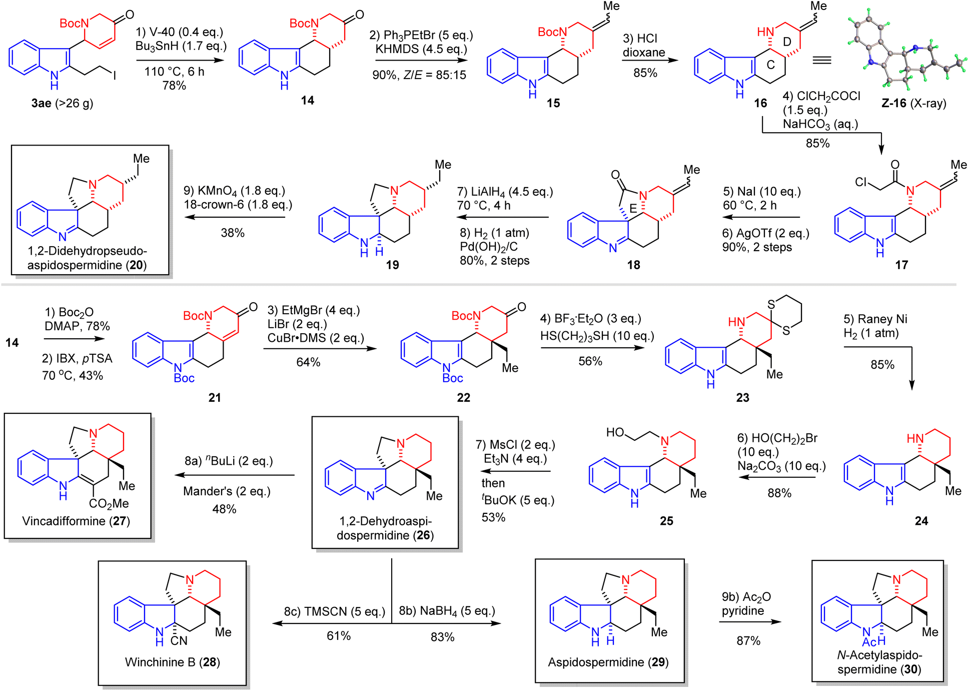 Aza-Achmatowicz rearrangement coupled with intermolecular aza-Friedel ...