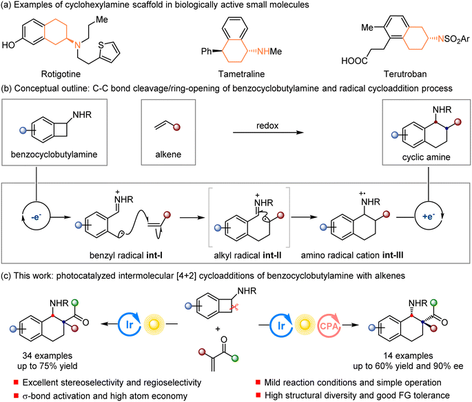 Visible-light-enabled stereoselective synthesis of functionalized ...