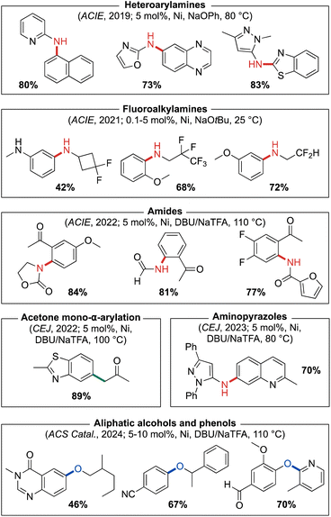 The development of cage phosphine ‘DalPhos’ ligands to enable nickel ...