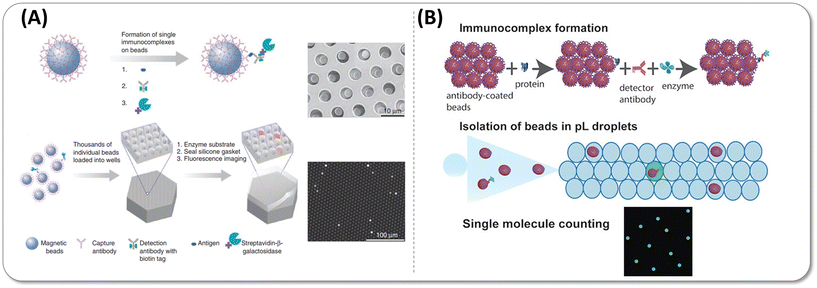 Recent progress in digital immunoassay: how to achieve ultrasensitive ...