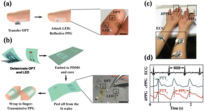Blood pressure measurement techniques, standards, technologies, and the ...