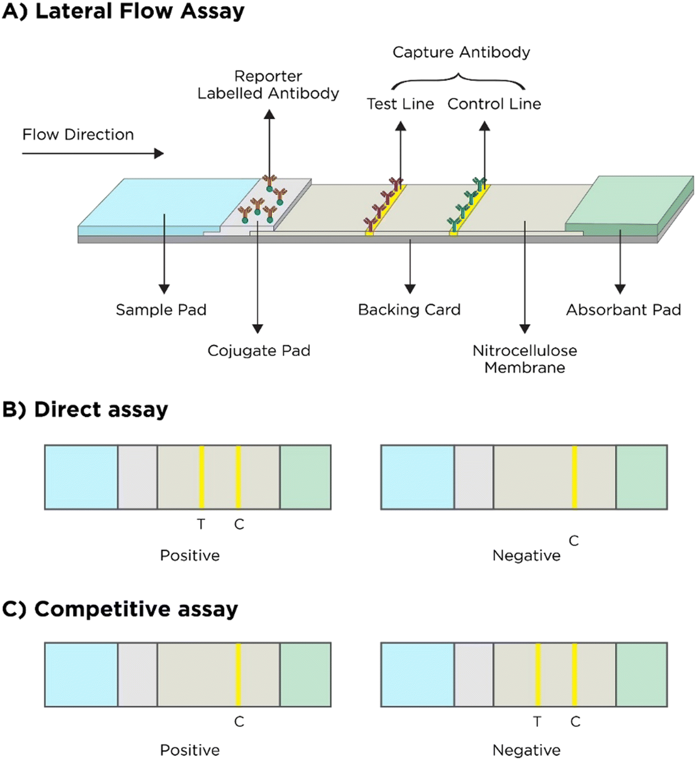 Diagnosis of infectious diseases: complexity to convenience - Sensors ...