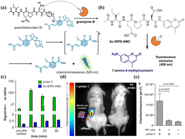 Organic fluorophore-based fluorescent probes for abnormal immune ...