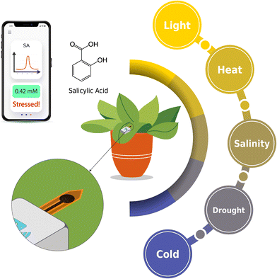 Sustainable agriculture with LEAFS: a low-cost electrochemical analyzer ...