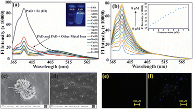 Self-assembled emissive probe for efficient sensing of Fe( iii ) and ...