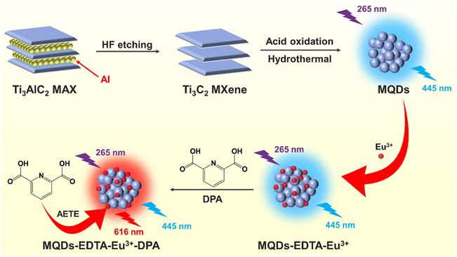 MXene quantum dots for ratiometric fluorescence detection of a Bacillus ...