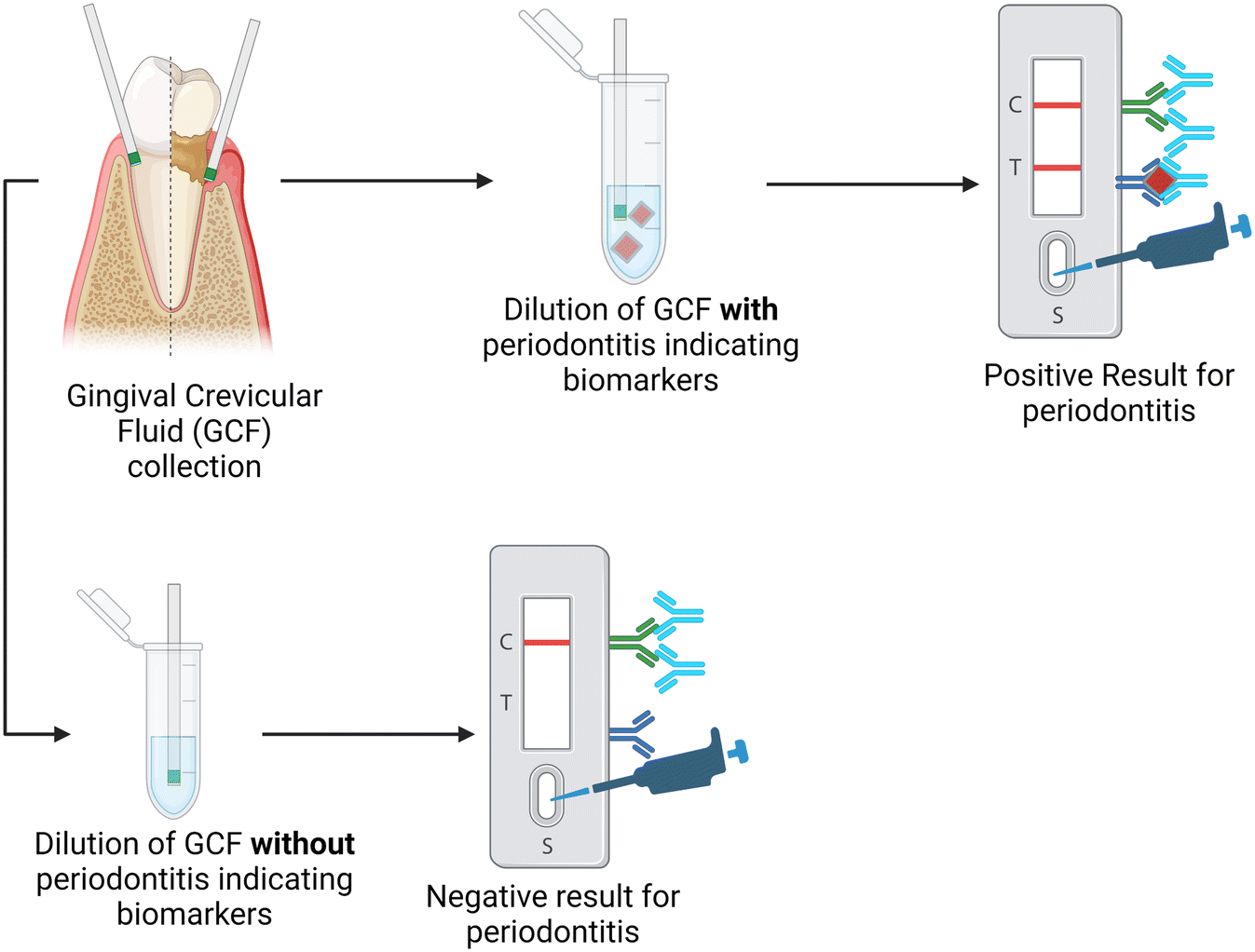 Point-of-care diagnostic devices for periodontitis – current trends and ...