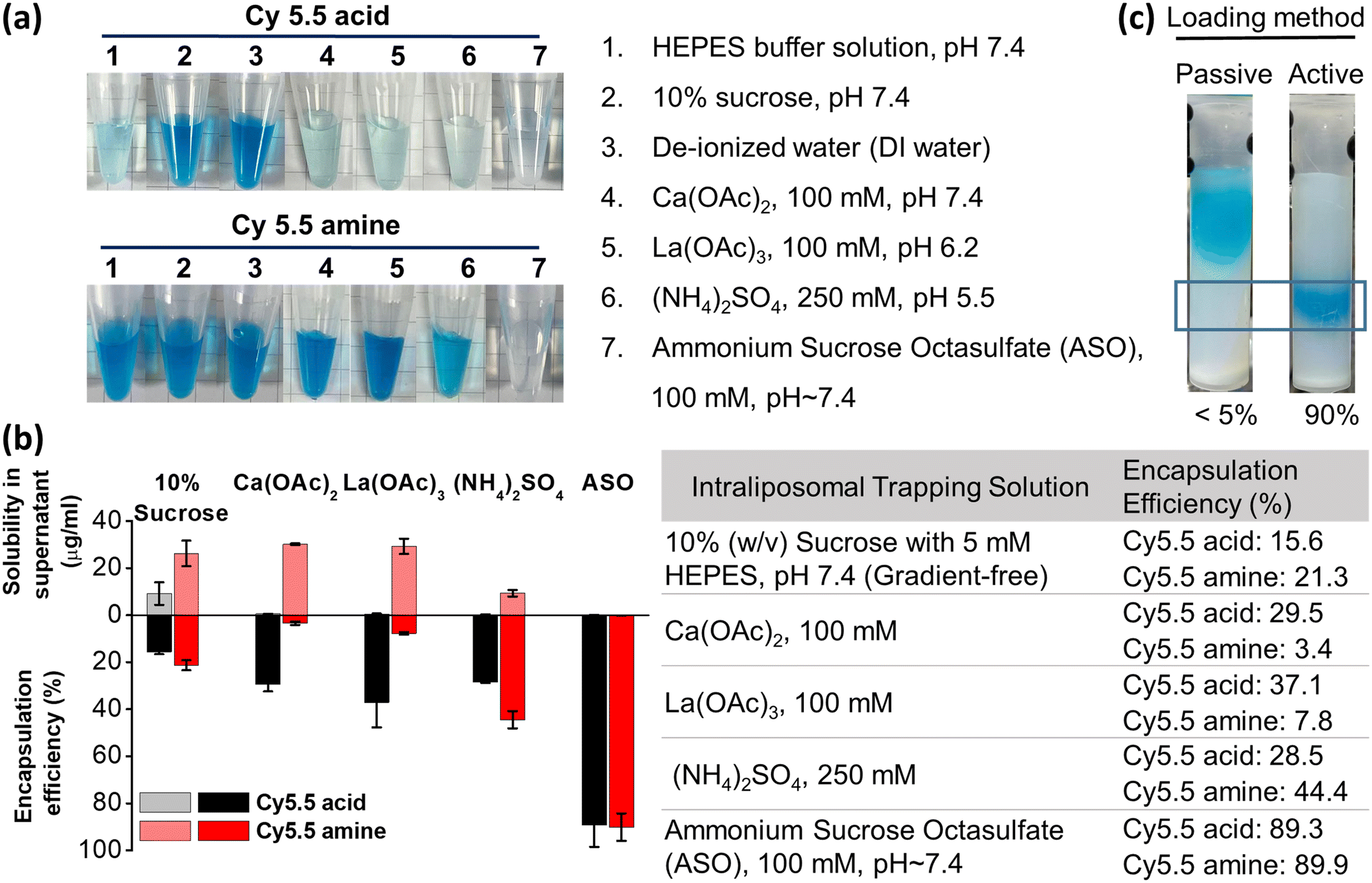 Active loading of cyanine 5.5 derivatives into liposomes for deep self ...