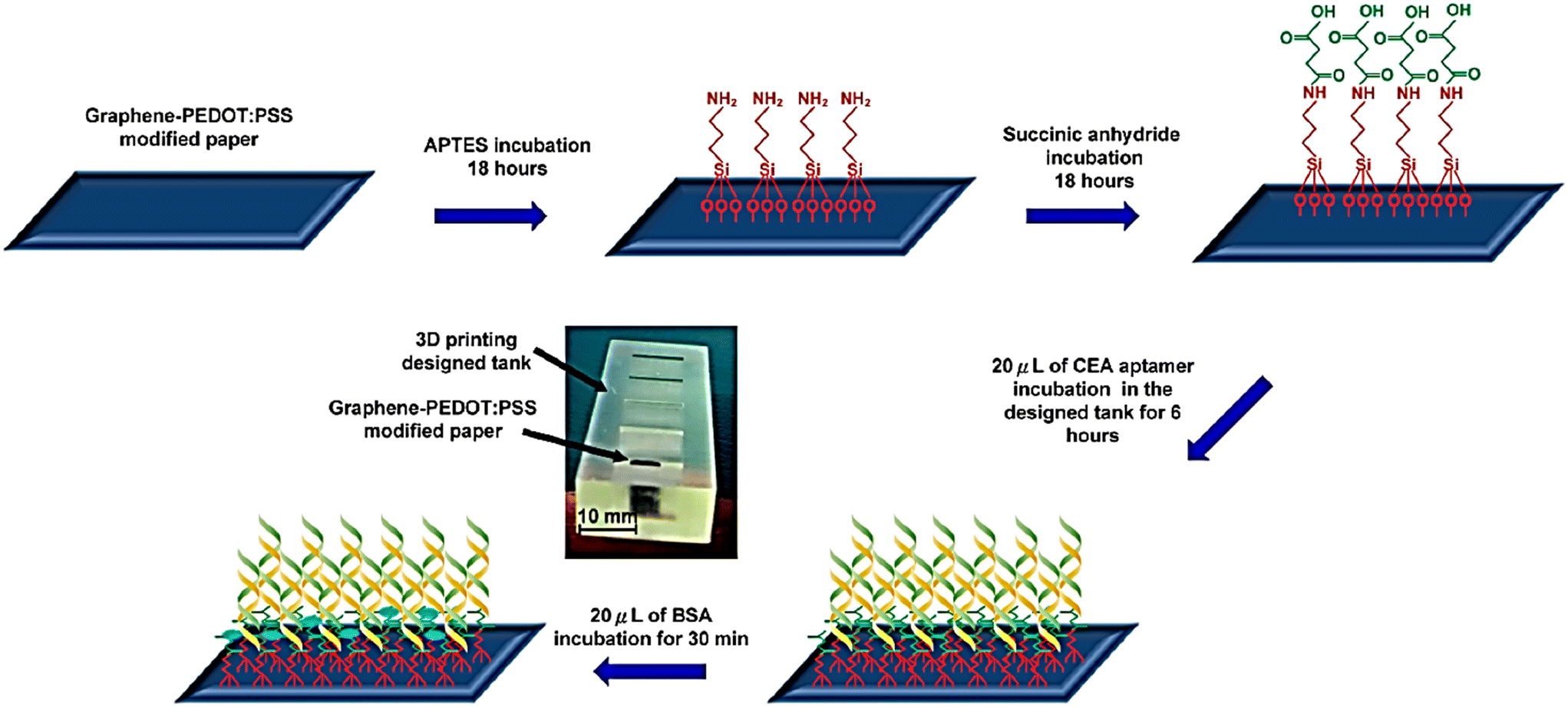 Paper-based point of care diagnostics for cancer biomarkers - Sensors ...