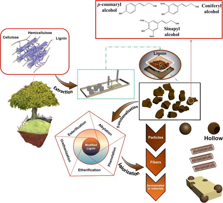 Valorization of lignin for advanced material applications: a review ...