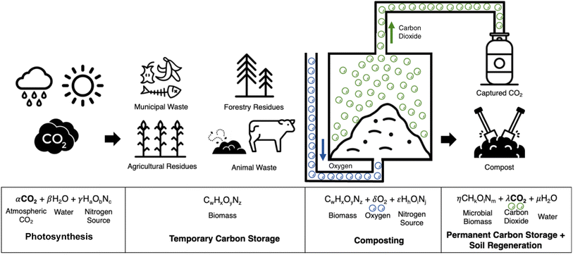 Biomass composting with gaseous carbon dioxide capture - RSC ...