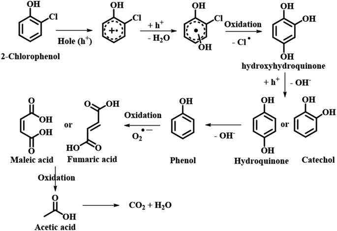 Biogenic derived egg shell and its derivatives as solid base ...