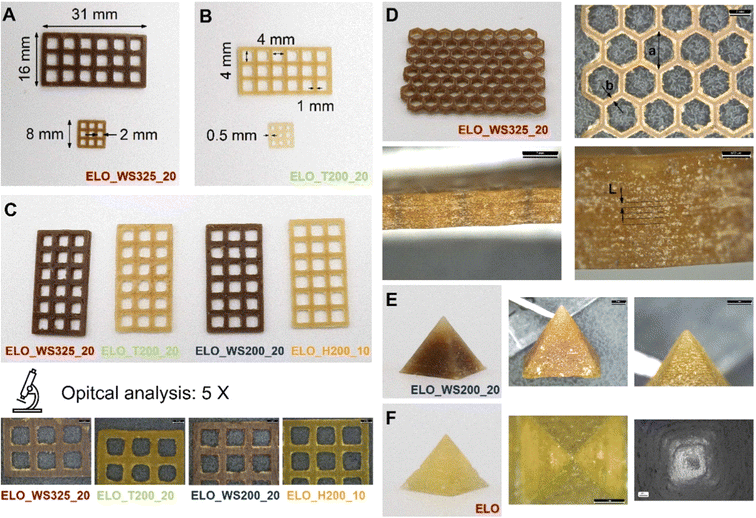 Synthesis and application of sustainable vegetable oil-based polymers ...
