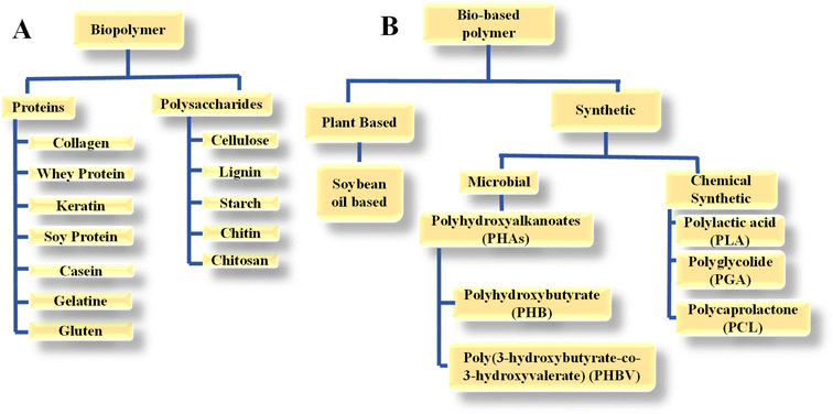 Synthesis and application of sustainable vegetable oil-based polymers ...