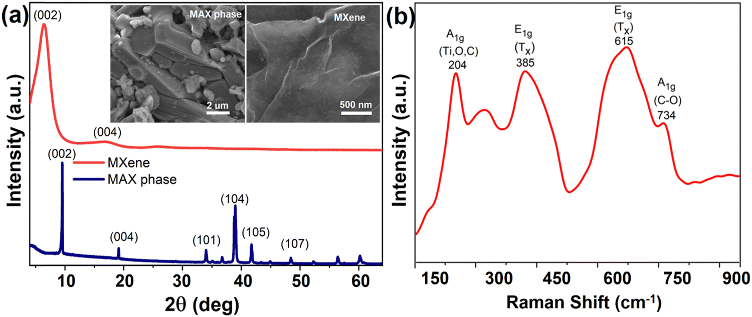 MXenes as a hole transport interfacial layer for efficient and air-stable quasi-2D perovskite ...