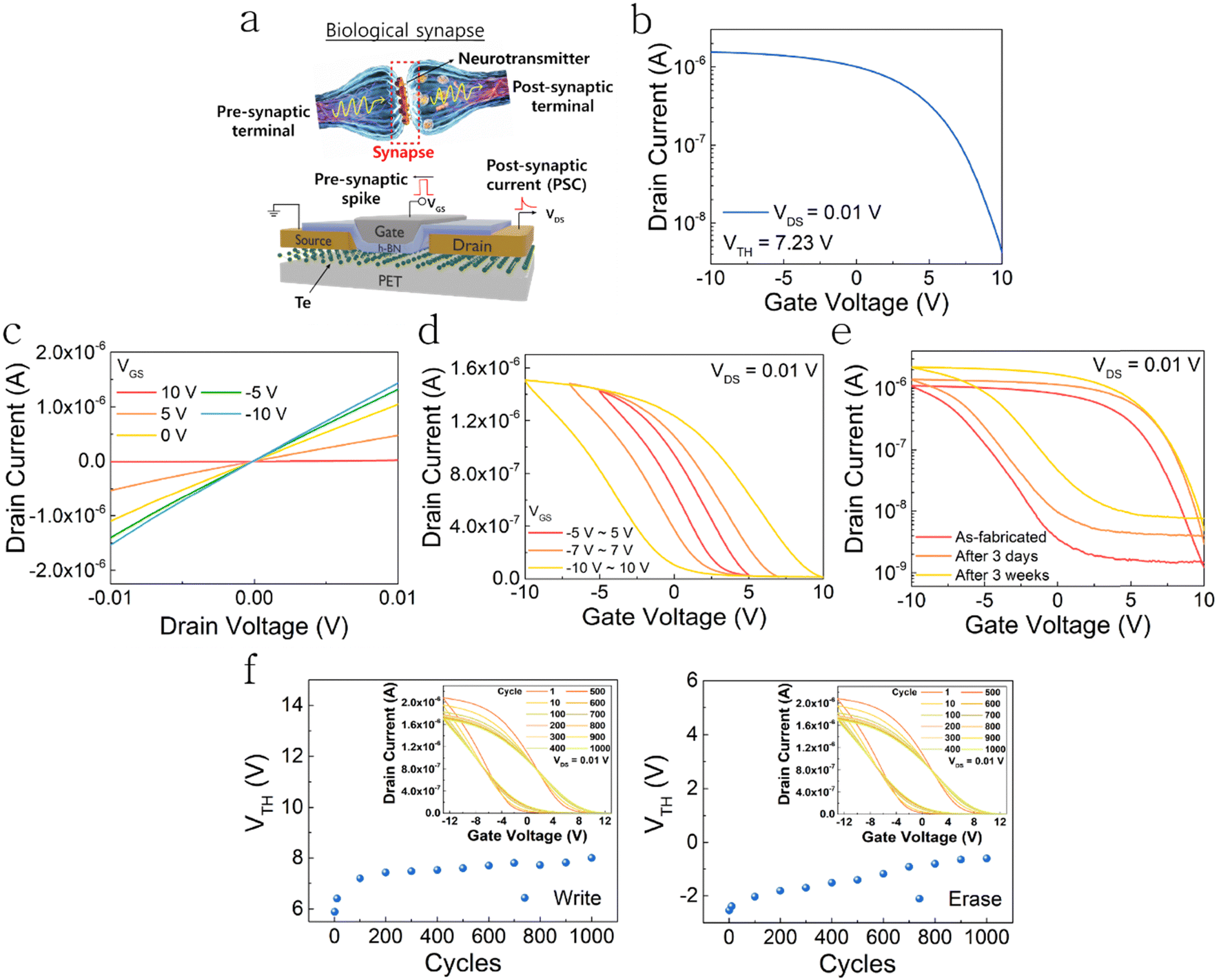 An extremely low-power-consumption reconfigurable two-dimensional tellurene artificial synapse ...