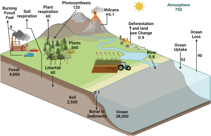 Carbon farming: a circular framework to augment CO 2 sinks and to ...