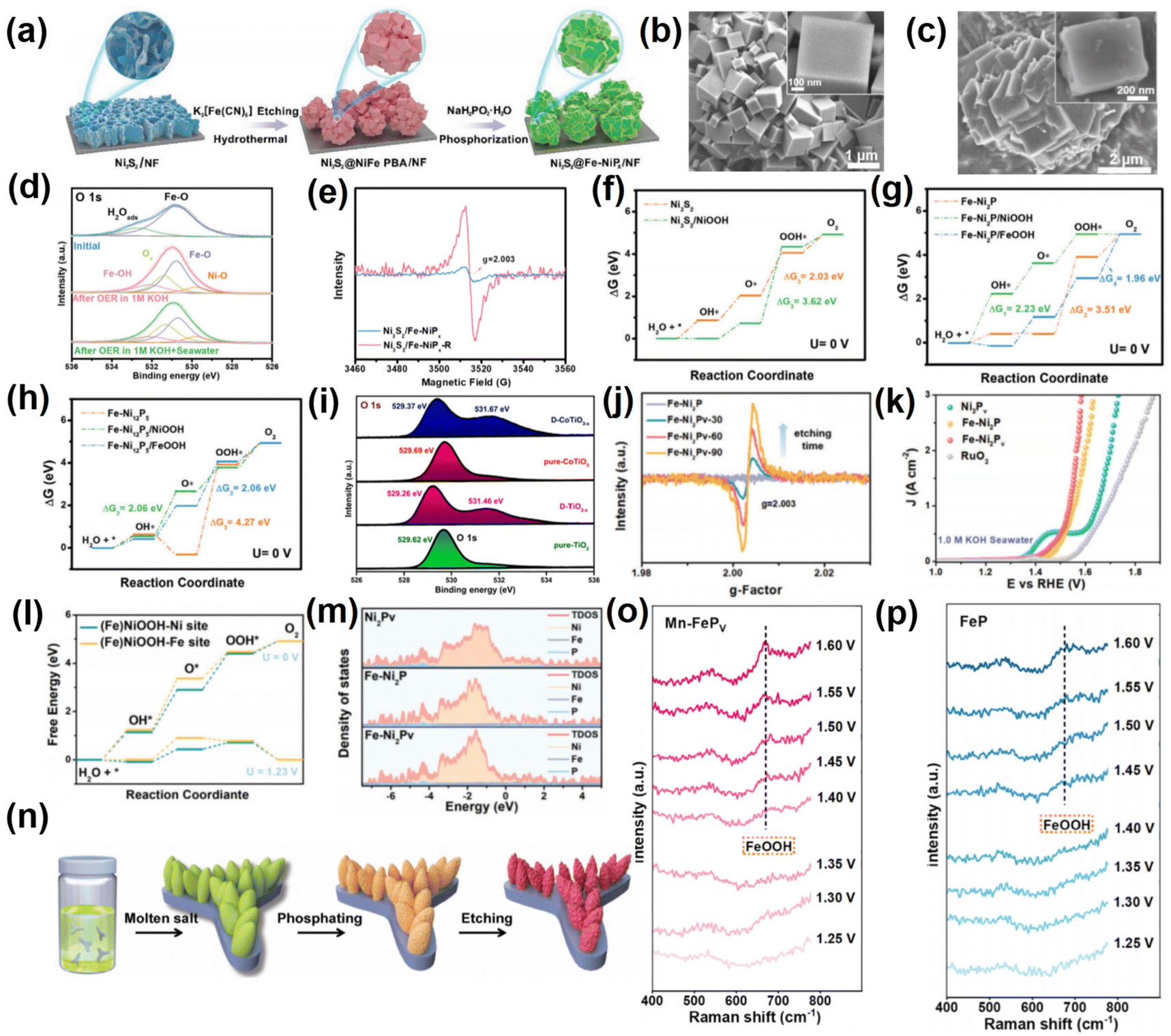 Design principles of metal phosphides for the oxygen Design principles of metal phosphides for the oxygen