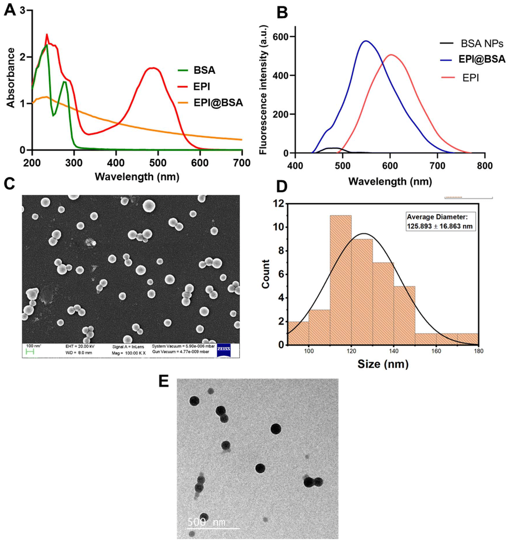 Chemotherapeutic loaded dynamic aggregated albumin nanoparticles for ...