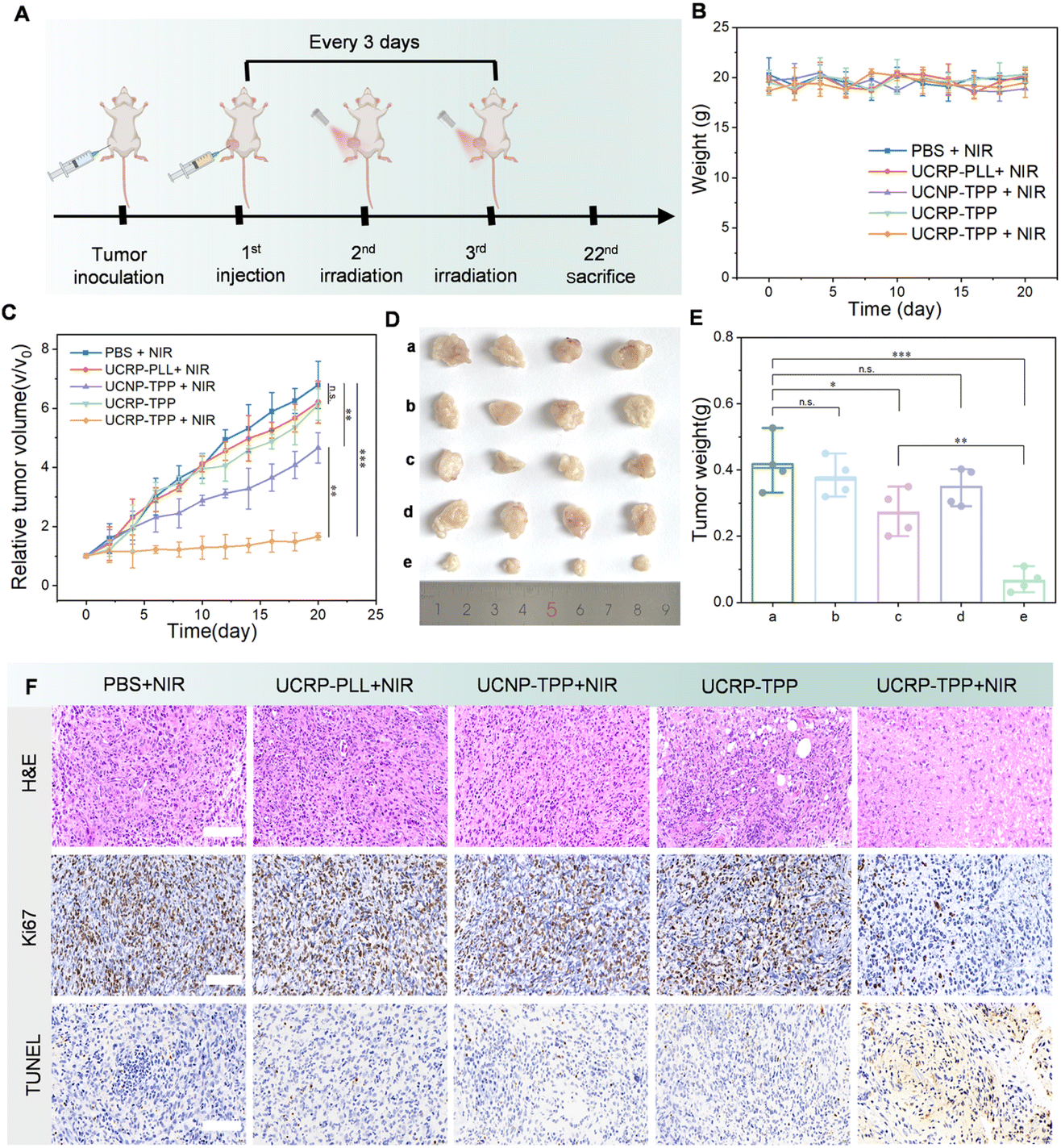 Spatiotemporally regulated mitochondrial genome editing via enzyme and ...