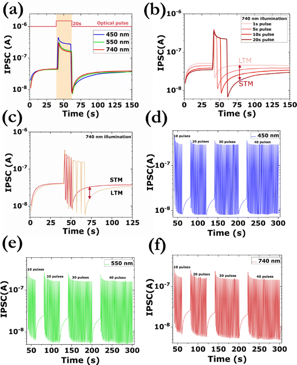 Optoelectronic inhibitory synapses in the visible range from PbS ...