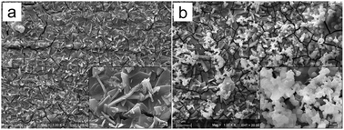 Enhancing the corrosion resistance and surface bioactivity of a calcium ...