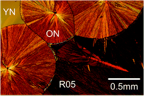 ROY revisited, again: the eighth solved structure - Faraday Discussions ...