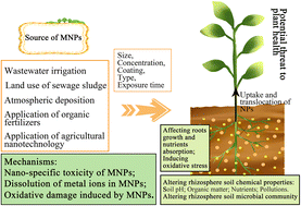 Interplay of metal-based nanoparticles with plant rhizosphere ...
