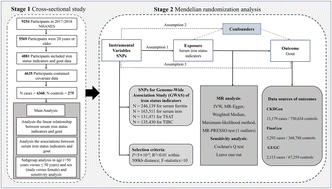 Association between serum iron status and gout: results from the NHANES ...