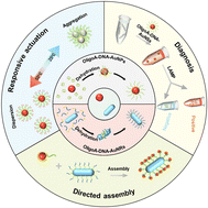 OligoA-tailed DNA for dense functionalization of gold nanoparticles and ...
