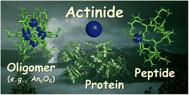 Interactions of early actinides with biologically-relevant organic ...