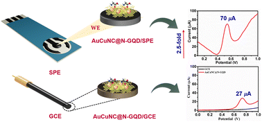 Nanomolar level electrochemical detection of glycine on a miniaturized ...