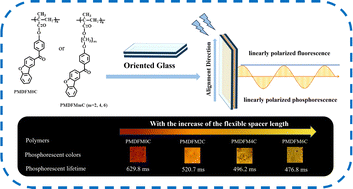 Synthesis and property modulation of linearly polarized luminescent ...