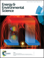 In vivo activation of an [FeFe] hydrogenase using synthetic cofactors ...