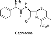 Cephradine