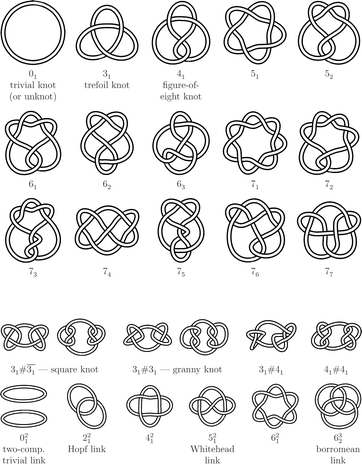 Molecular knots , links, and fabrics: prediction of existence and ...